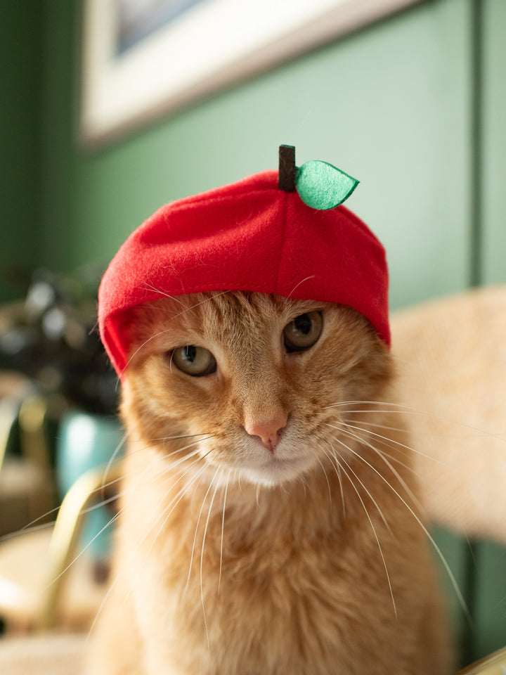 Cat Cap Blind Box - Fruit – A Shop of Things