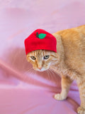 Cat Cap Blind Box - Fruit – A Shop of Things