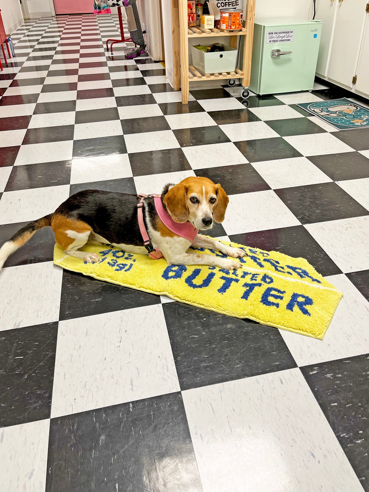 Butter Rug – A Shop of Things
