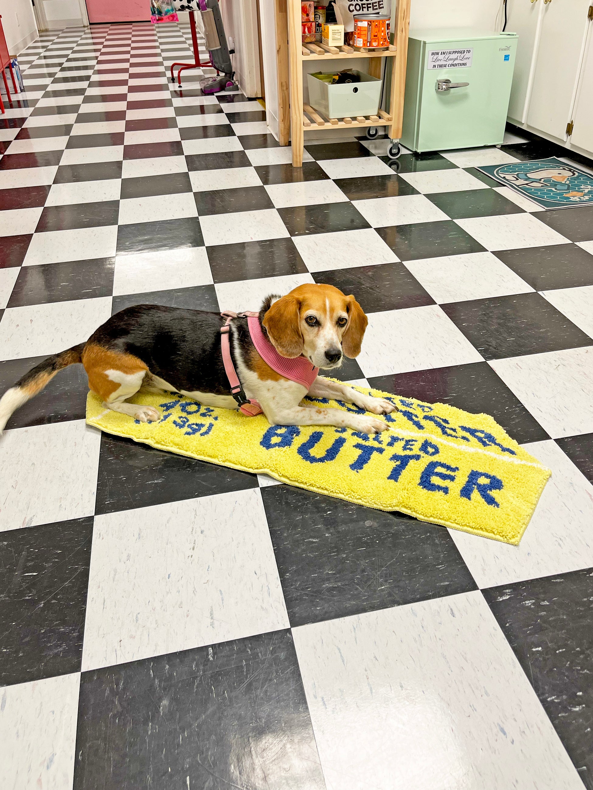 Butter Rug – A Shop of Things