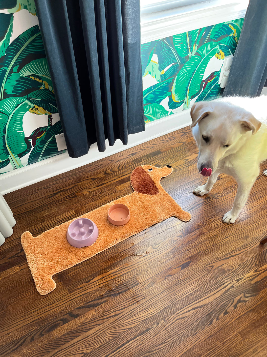 Dog Rug – A Shop of Things